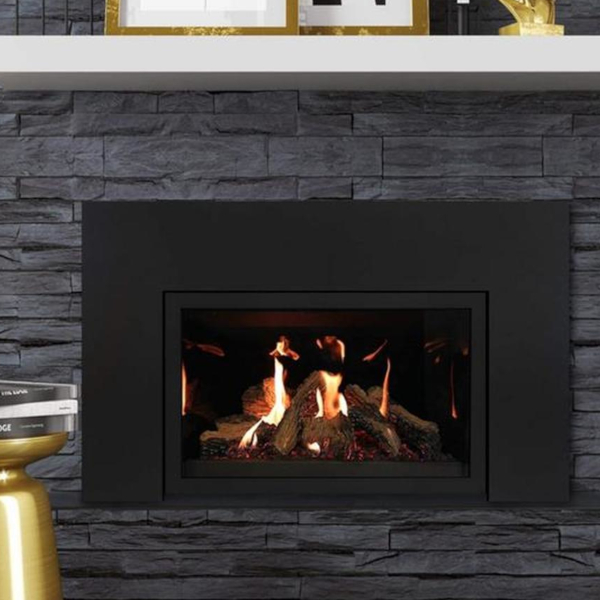 Archgard Gas Insert - Bay Area Fireplace & Stoves